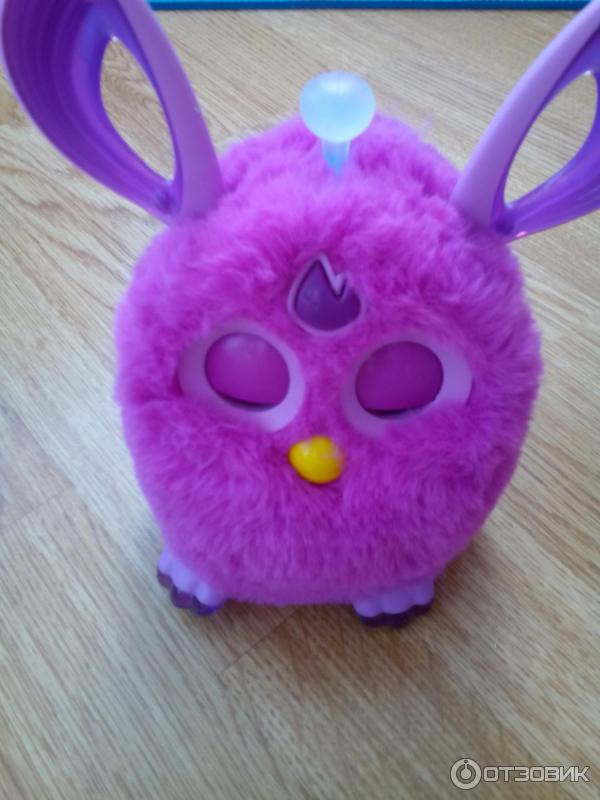 Отзыв о Интерактивная игрушка Hasbro Furby Connect 2016 | Ребенок очень ...