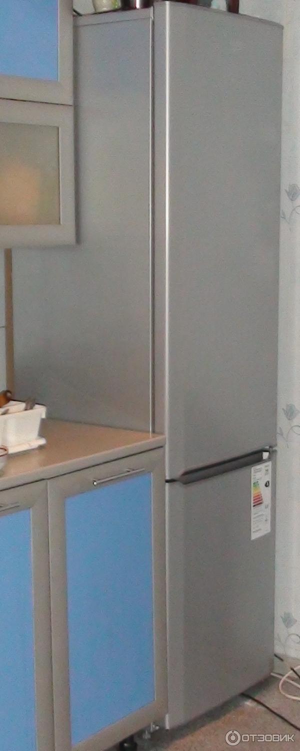 Отзыв о Холодильник Beko CN329100W | Холодильник, который во всем ...