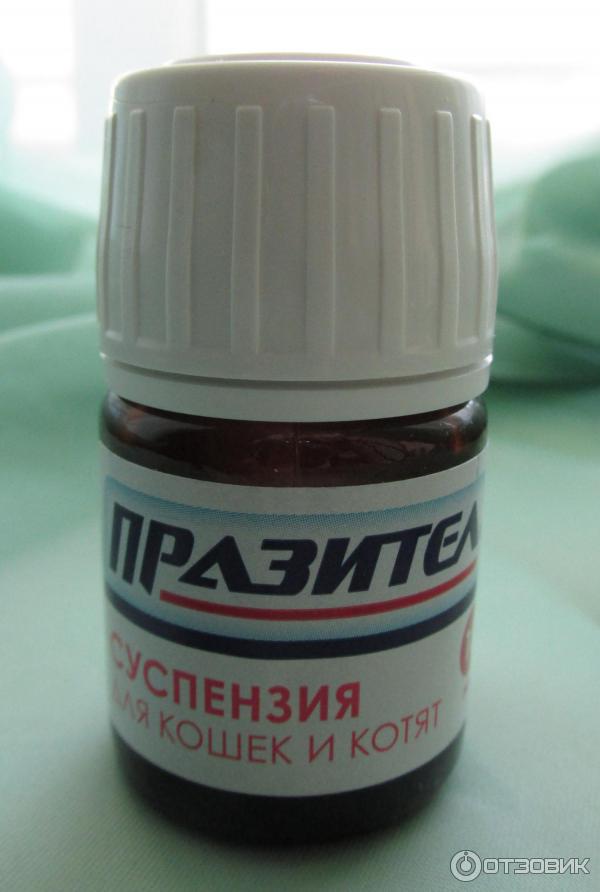 Отзыв о Ветеринарный антигельминтный препарат СКиФФ Празител Суспензия ...