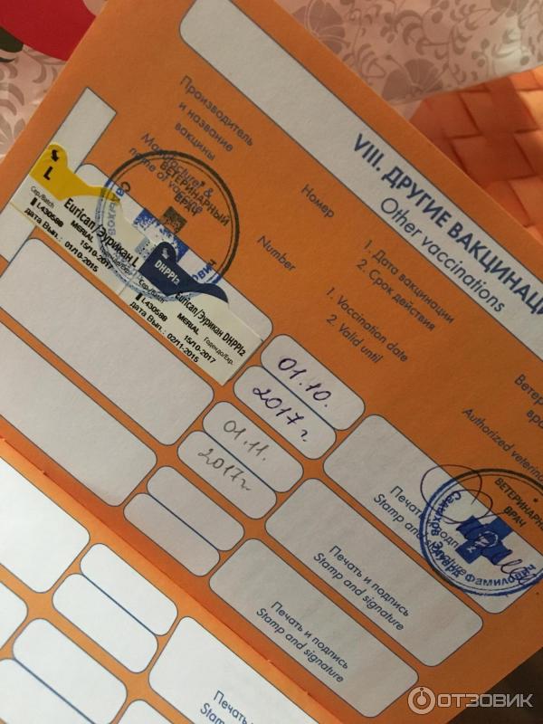 Отзыв о Прививки для животных Eurican DHPPI | Лучшая на сегодняшний день