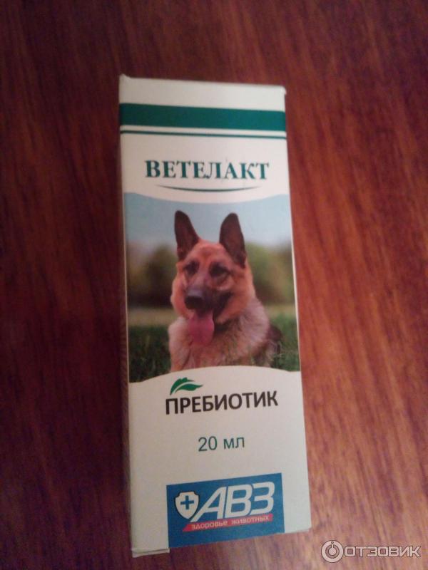 Отзыв о Пребиотик для кошек и собак АВЗ Vetelact | Эффективное ...