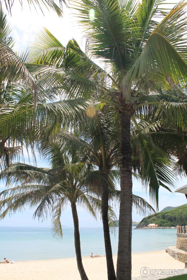 Отзыв о Отель Vinpearl Nhatrang Resort & Spa 5* (Вьетнам, Нячанг ...